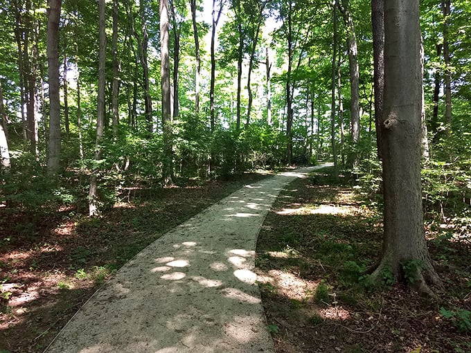 Nature trails wind through wooded areas near Canal Winchester, offering peaceful retreats where the only notification you'll get is from birdsong.