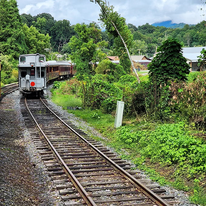 Following the river's edge, this train offers front-row seats to nature's greatest show on earth.