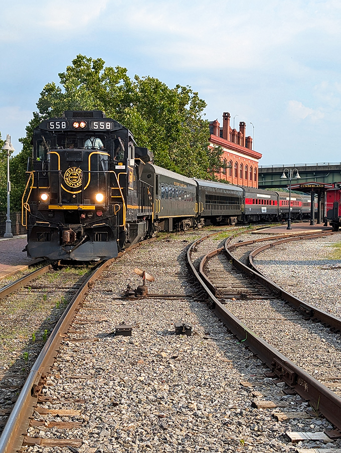 All aboard! The Western Maryland Scenic Railroad offers nostalgic journeys through mountain landscapes without breaking your retirement budget.