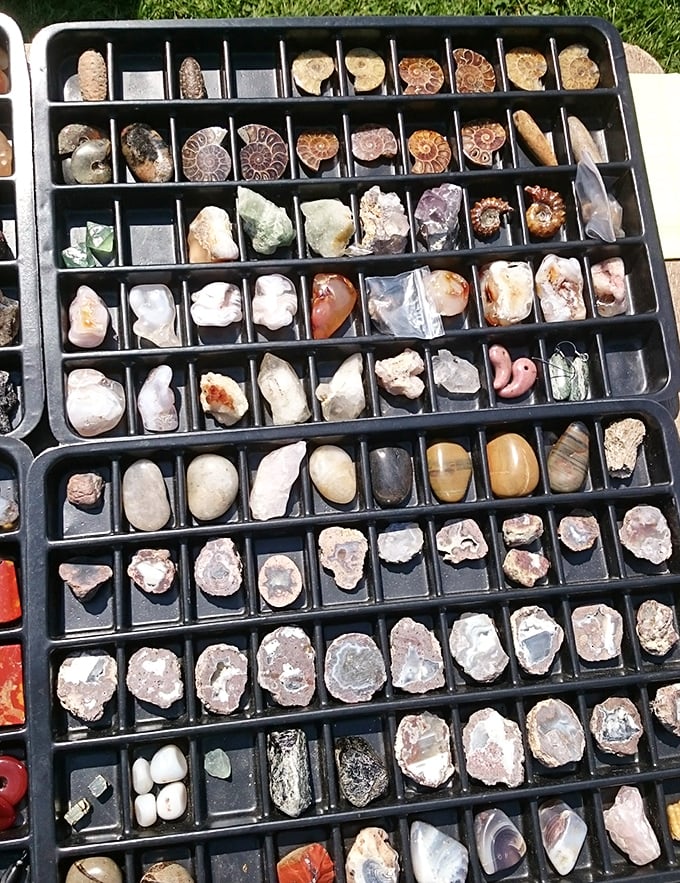 Each compartment holds millions of years of geological history, available for pocket change and destined for windowsills everywhere.