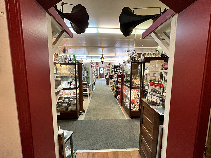 The view through this doorway promises more discoveries ahead, with vintage hats hanging like sentinels guarding the passage between different collecting worlds.
