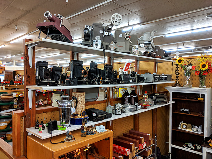 A photographer's dream&mdash;vintage cameras and projectors that captured memories long before the age of smartphones. Each one has stories locked inside its mechanical heart.