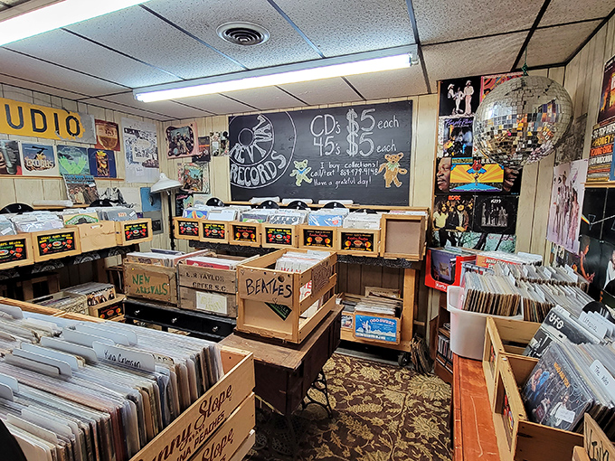 The vinyl record corner &ndash; where music lovers can physically hold their favorite albums instead of just swiping right on a playlist.