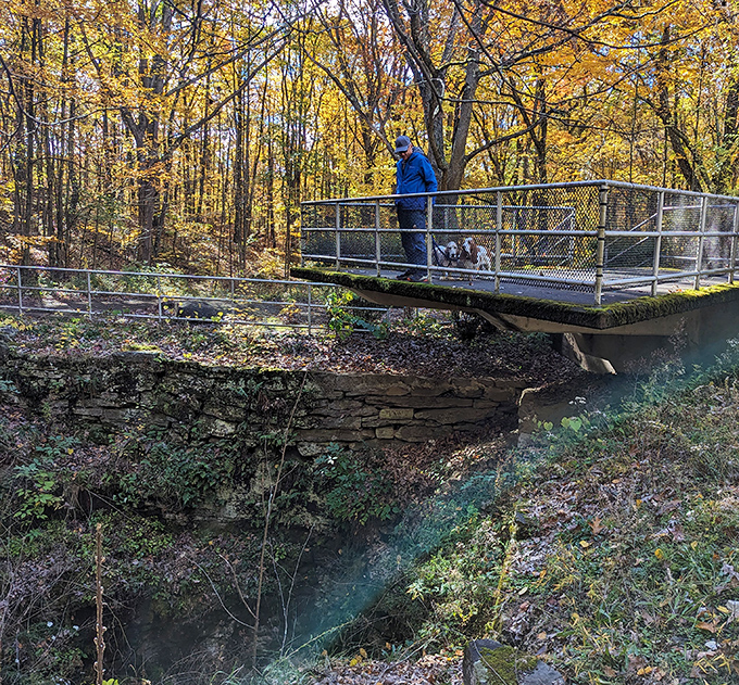 Autumn brings spectacular views and curious explorers. The observation platform becomes nature's balcony during the brilliant fall color season.