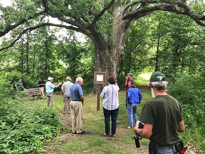 Nature's classroom has no walls. Guided walks at Bald Eagle State Park turn ordinary trees into extraordinary stories for eager listeners.