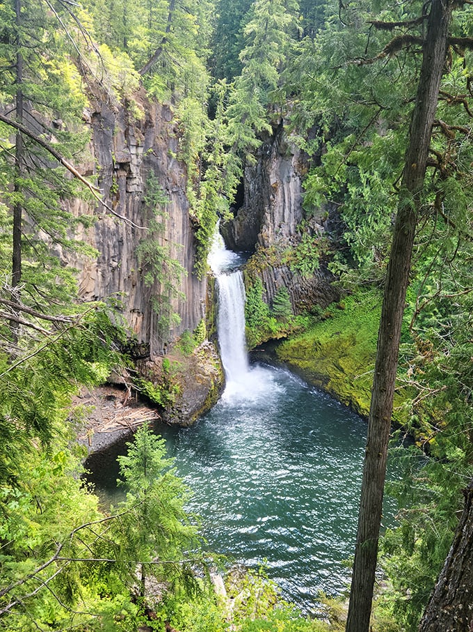 The money shot: Toketee's dramatic plunge between volcanic columns. Mother Nature showing off her architectural skills and water feature design in one masterpiece.