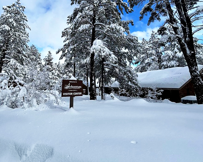 Winter transforms the arboretum into a snow-globe wonderland where even the visitor center looks like a holiday card