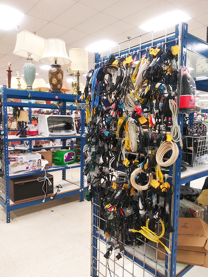 Cable chaos or cord cornucopia? This tangled web of electronics connections could solve any adapter emergency you'll ever face.