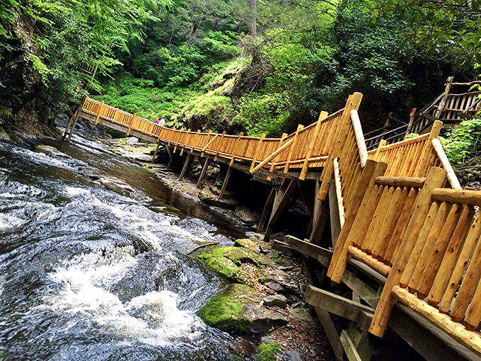 Engineering meets enchantment on this wooden boardwalk, where rushing waters below provide nature's soundtrack to your woodland adventure.