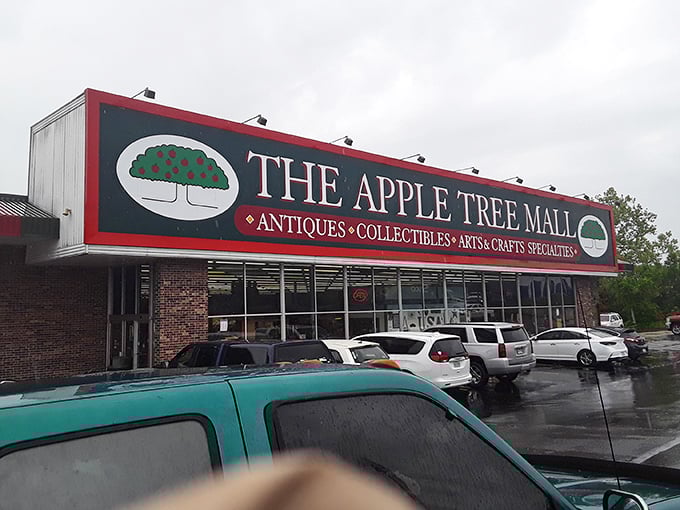 The Apple Tree Mall stands proud in Branson. That iconic sign has welcomed treasure hunters through rain and shine for years.