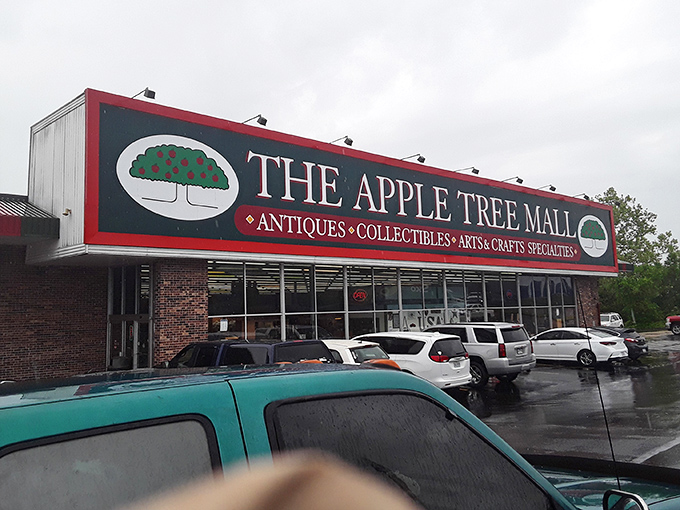 Apple Tree Mall combines Branson's entertainment spirit with the timeless thrill of discovering someone else's forgotten treasures.