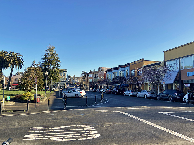 Arcata's town square welcomes all with shade trees and charm. A place where your retirement check buys not just housing, but community.