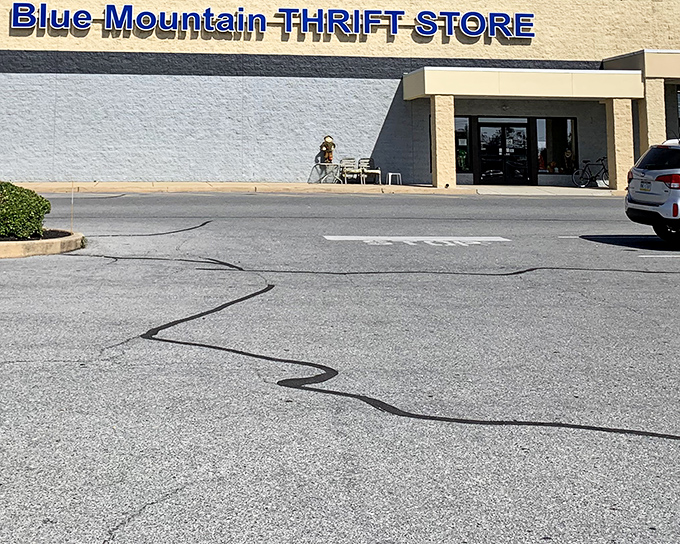 Blue Mountain's unassuming exterior hides a treasure trove of pre-loved items just waiting for their second chance.