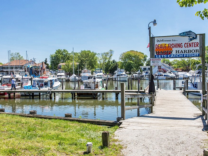Deale's harbor invites you to slow down and watch the boats come in. Fresh seafood doesn't get any fresher than this!