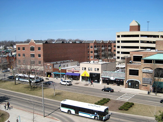East Lansing offers tree-canopied streets where college-town energy meets quiet neighborhoods perfect for retirement living.