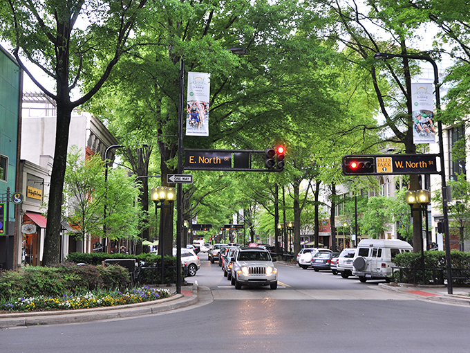 "Greenville's urban forest creates a green cathedral over downtown streets. Nature and city life finding perfect harmony under Carolina blue skies."