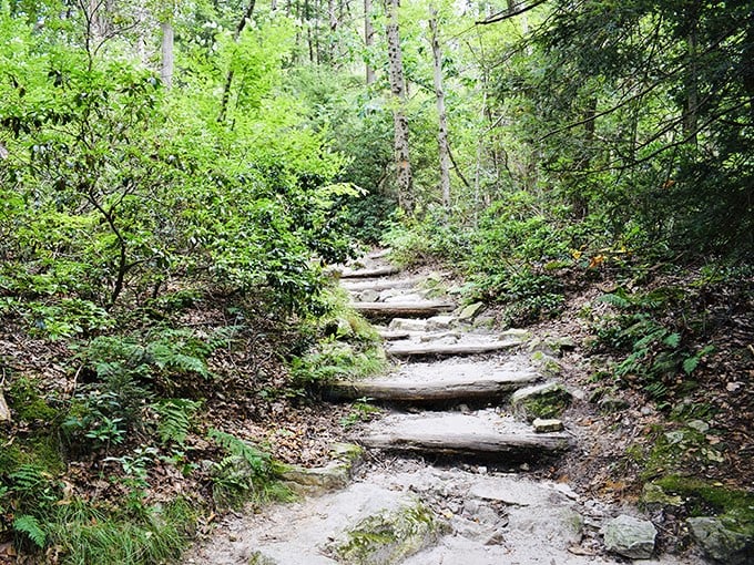 Hawk Mountain's wooden walkways invite you into a world where birds of prey rule the skies and humans are just spectators.