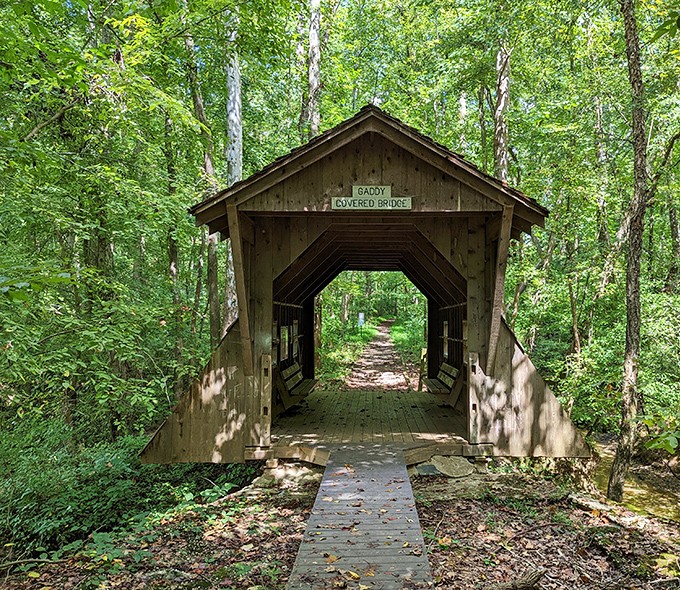 Gaddy Bridge invites woodland wanderers into its peaceful embrace. The kind of place where stress dissolves with each footstep.