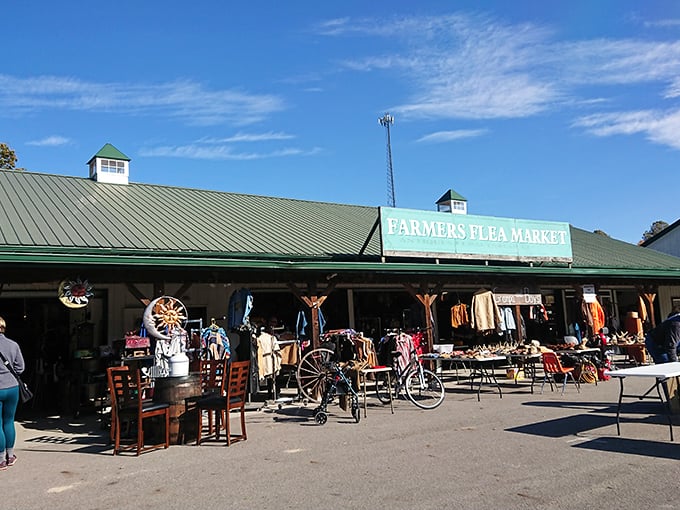 Green-roofed gateway to great finds! Hocking Hills Market blends seamlessly into its picturesque surroundings.