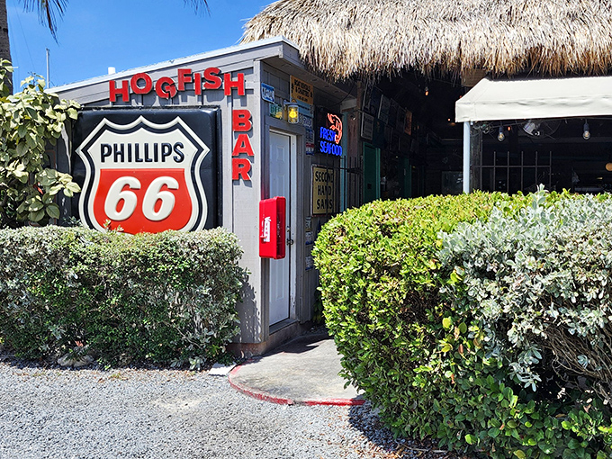 Hogfish's thatched-roof tiki vibe is the Florida equivalent of finding a secret clubhouse where everyone gets dessert.