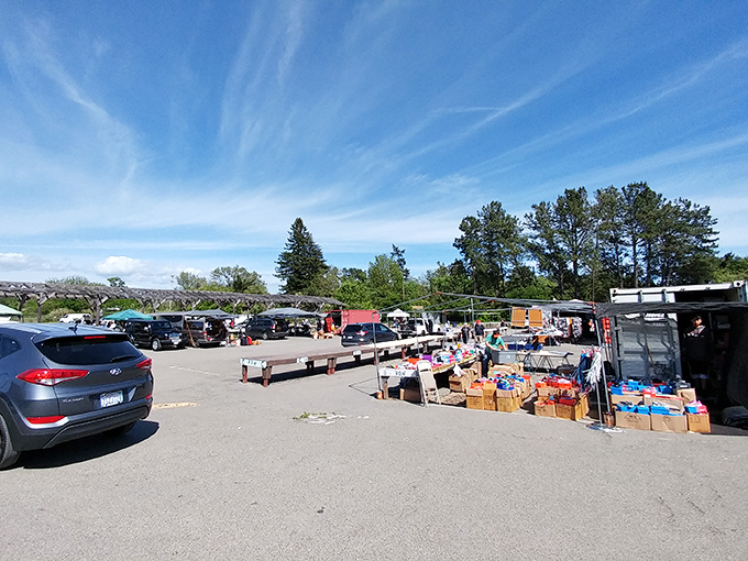 Country roads lead to Sebastopol's rustic market. Blue skies and bargain tables stretch toward the horizon.