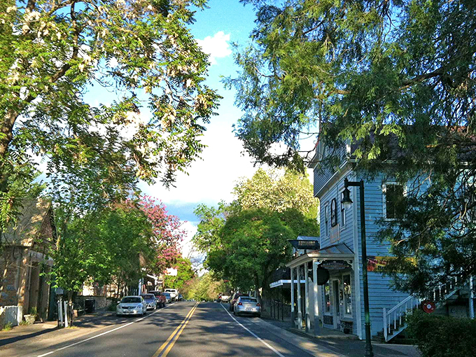 Murphys' tree-shaded main street offers a perfect blend of Gold Rush authenticity and wine country charm in this Sierra foothills gem.