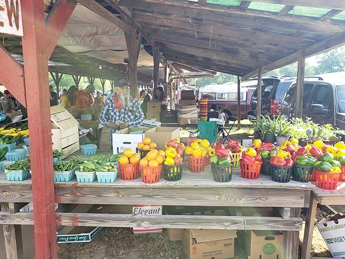 Country charm meets bargain hunting! Pickens County's rustic setting adds authentic flavor to every treasure found.