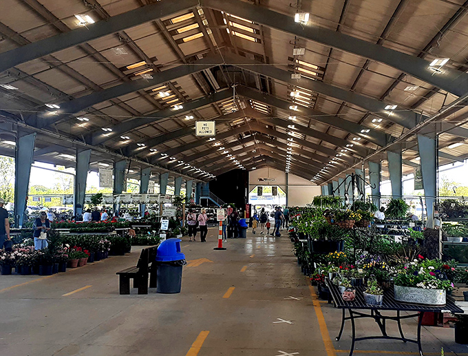 The Piedmont Triad Farmers Market's soaring roof shelters a garden of earthly delights for food lovers and plant enthusiasts.