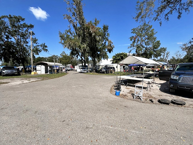 Plant City's market captures that perfect rural Florida vibe where plants and produce meet vintage treasures.