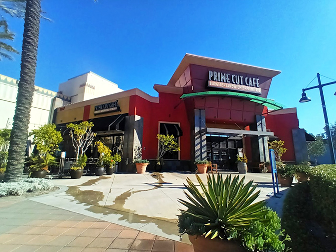 Prime Cut Café brings modern flair to the traditional steakhouse experience. Clean lines and California sunshine create an inviting atmosphere.