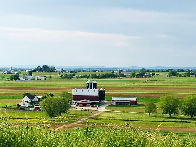 Amish ingenuity on display! This buggy pulling a wagon shows how tradition adapts to practical needs.