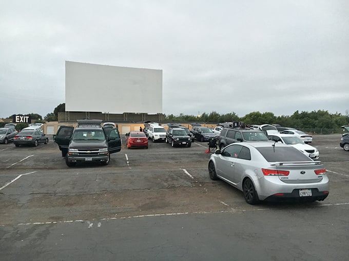 South Bay's triple-threat: ocean breezes, blockbuster movies, and the freedom to watch in pajamas.