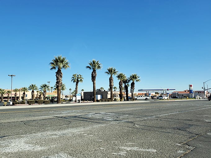 Palm trees line Victorville's sun-baked streets, where high desert living offers low-cost retirement with mountain views thrown in for free.