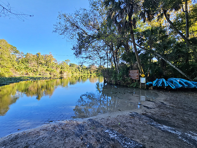 Wekiwa Springs &ndash; where Orlando locals escape when they've had enough of plastic castles and $15 lemonades.