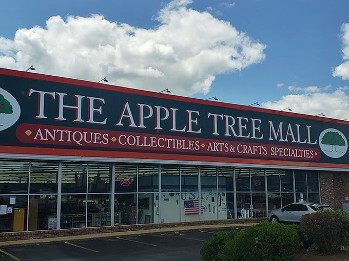 Not your average shopping experience! This distinctive facade houses carefully curated collections that blur the line between store and museum.