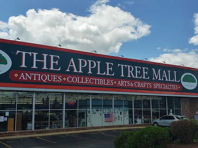 Those cars aren't just parked&mdash;they're chariots that carried modern-day treasure hunters to their favorite hunting ground.