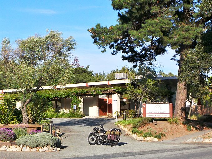 Hidden among the trees, this charming spot feels like discovering a secret that's too good not to share.