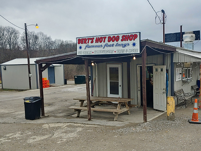The humble exterior of Bert's might not win architectural awards, but that picnic table has hosted more moments of hot dog bliss than most five-star restaurants.