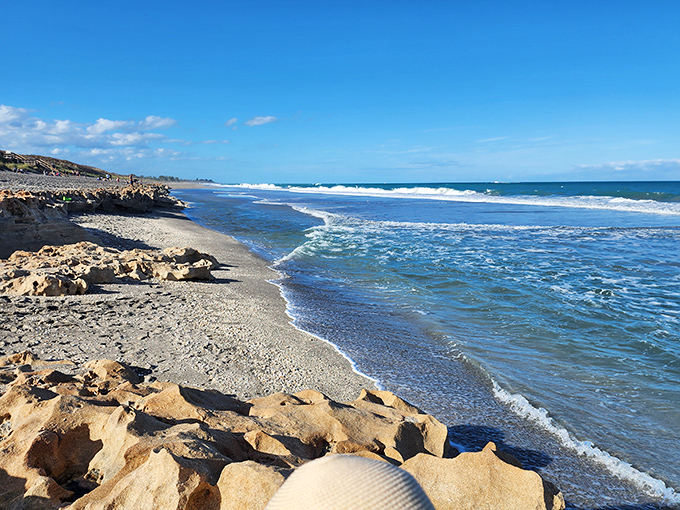 The dramatic meeting of rock and wave at Blowing Rocks &ndash; like watching Earth's oldest argument play out.