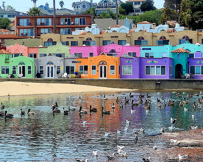 The wharf extends into Monterey Bay where fishing and fun blend seamlessly together daily. 