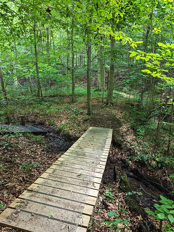 Dillon State Park: A wooden pathway leads deeper into the forest. Follow it and leave your to-do list behind&mdash;it'll still be there tomorrow.