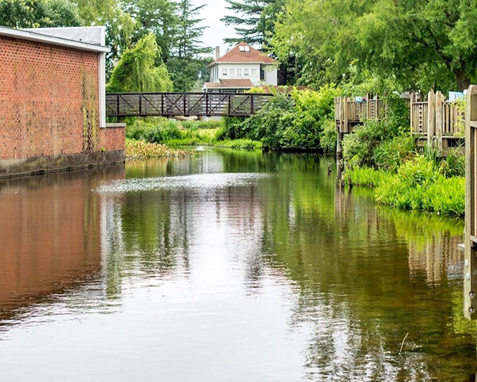 Dover's waterfront offers a peaceful reflection of both historic buildings and towering trees—nature and history in perfect balance.