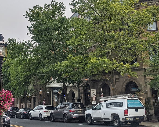 The stone buildings of Doylestown have weathered centuries with grace&mdash;if only my knees could age so well!