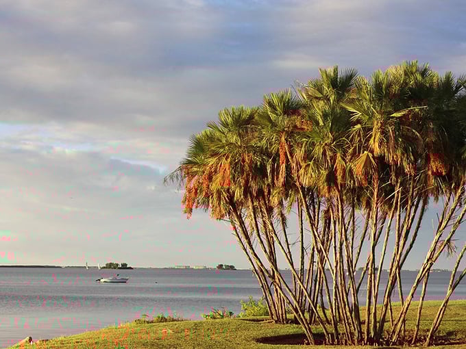 If serenity had a vacation home, it&rsquo;d look like this: soft skies, still waters, and palm trees posing like they know they&rsquo;re on a postcard.