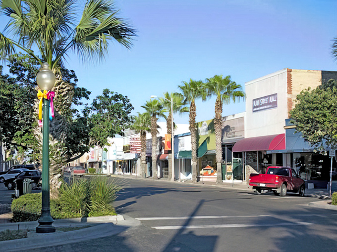Palm trees line Harlingen's business district, creating that "vacation but make it everyday" atmosphere that makes South Texas special.