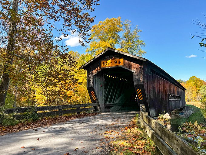 Spring's green explosion creates the perfect backdrop for this humble wooden passage. Simple beauty at its finest!