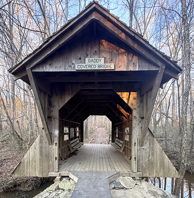Winter reveals the stark beauty of this forest treasure. When trees shed their leaves, the bridge becomes the undisputed star.