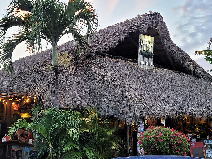 Palm fronds and twinkling lights create the perfect backdrop for that "I'm on vacation" feeling, even if you live down the street.