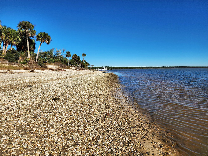 The wild beauty of Indian Pass reminds us that some of Florida's best beaches don't need fancy amenities to steal your heart.
