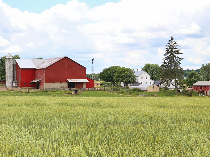 Breathe in the fresh air and admire the scenic farms of Kidron&mdash;an ideal Amish town for a stress-free day trip.